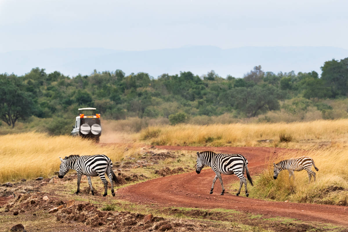 Exploration de la richesse de la biodiversité au Kenya - Cellule ...